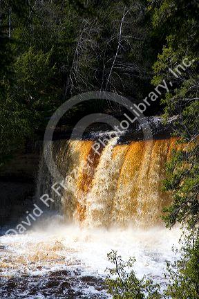 Upper Tahquamenon Falls on the Tahquamenon River in the eastern Upper ...