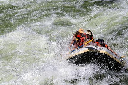 Whitewater rafting the main Payette River in southwestern Idaho, USA ...