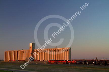 BNSF Railway train in front of the Agri Producers Grain Corp grain elevators at Plainview, Texas ...