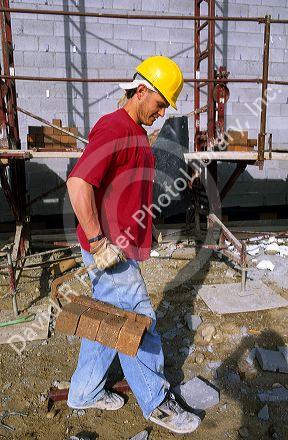A mason assistant hod carrier moving bricks with a carrier clamp ...